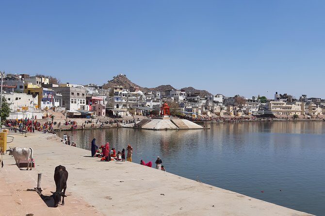 Private Tour Guide Pushkar - Authentic Experiences and Traveler Insights