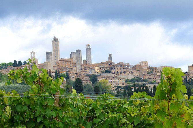 Private Tour: Guided Hike in Tuscany with Transport from Siena - What We Love About This Experience
