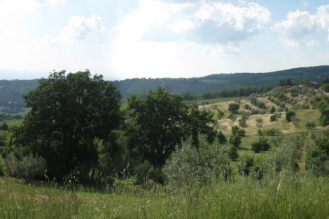 Private Tour: Guided Hike in Tuscany with Transport from Siena - Considerations for Travelers