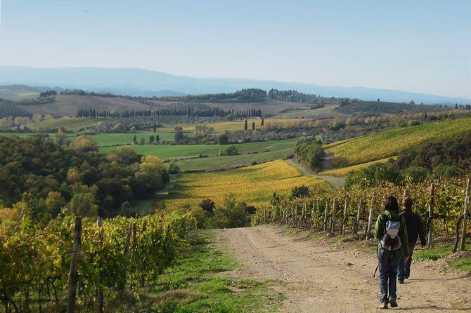Private Tour: Guided Hike in Tuscany with Transport from Siena - Final Thoughts