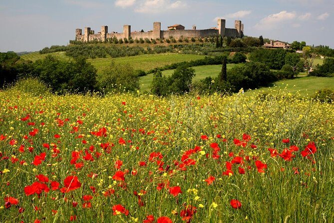 Private Tour: Guided Hike in Tuscany with Transport from Siena - FAQ