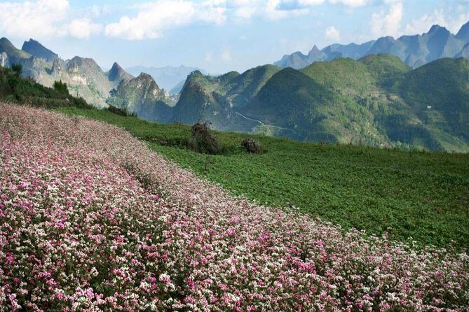 Private Tour: Ha Giang 3 days 4 nights - Who Should Consider This Tour?