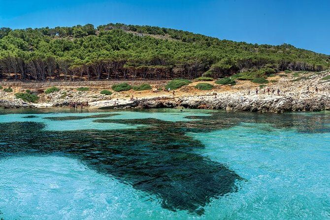 Private Tour Half Day Boat Trip in Favignana from Trapani - How Value Adds Up