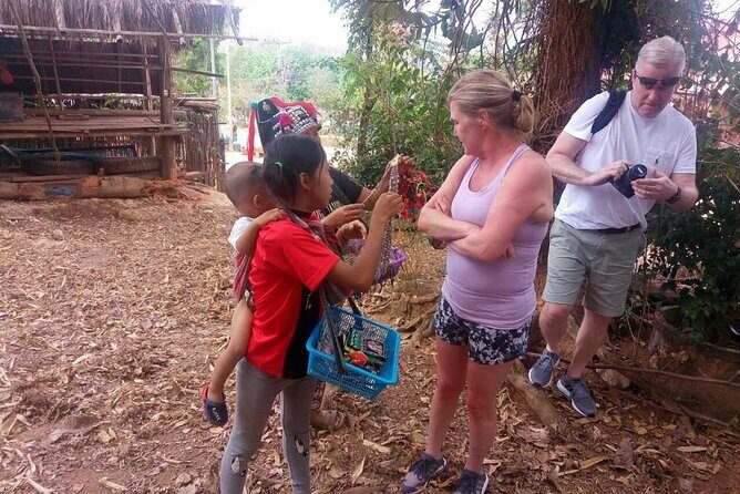 Private Tour: Half-Day Chiang Mai Temple Tour - Who Should Consider This Tour?