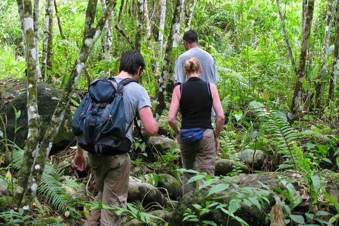 Private Tour: Half Day Tour Bukit Lawang & Orang Utan Jungle Trekking - The Itinerary: A Closer Look