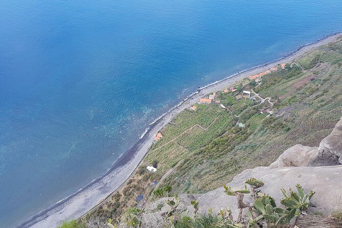 Private Tour Halfday South Madeira - Who Is This Tour Best For?