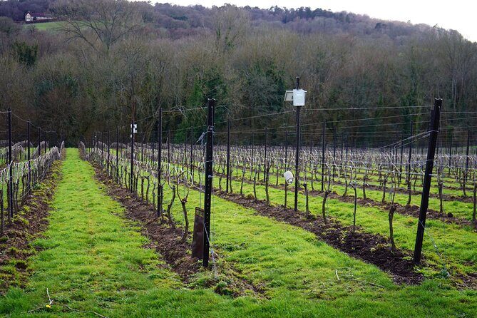 Private Tour Hamptons from New York City - The Sum Up