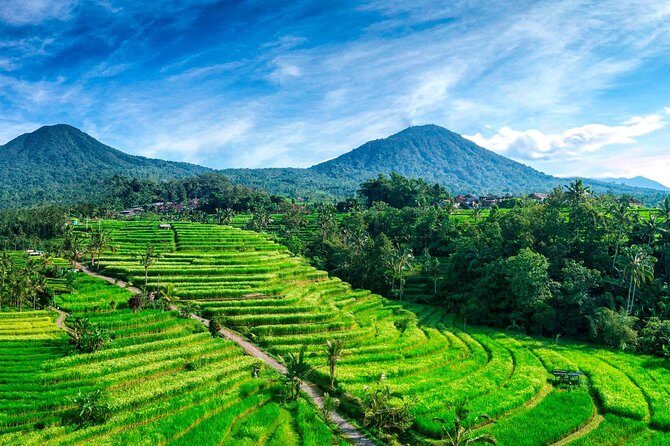 Private Tour: Handara Iconic Gate, rice terrace & Ulundanu Temple - A Closer Look at the Tour Itinerary