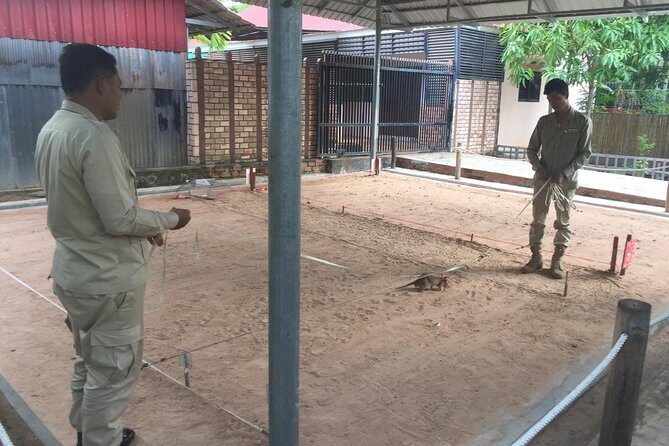 Private Tour: HERO Rats & Angkor National Museum - Final Thoughts