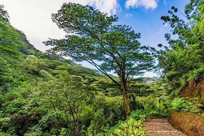 PRIVATE TOUR-Hike Diamond Head & Hawaiian Waterfall - Starting Early for a Full Day of Adventure