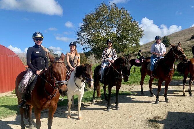 Private Tour - Horse Riding, Wine Tasting and Art Trail - Exploring the Private Horse Riding, Wine Tasting, and Art Trail Tour in Auckland
