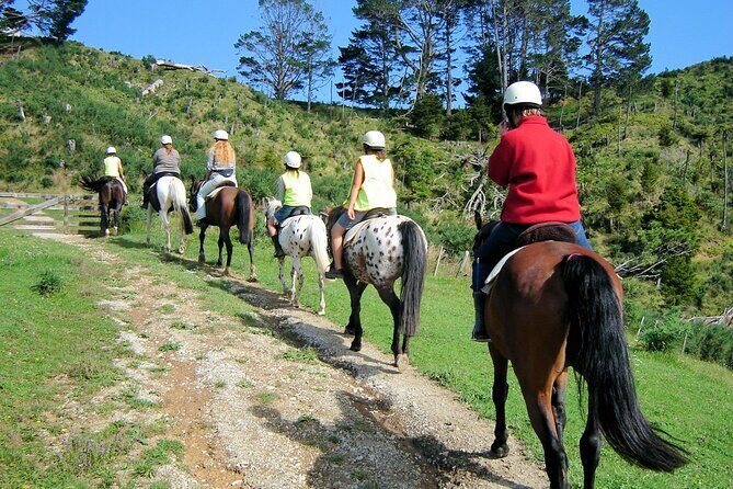 Private Tour - Horse Riding, Wine Tasting and Art Trail - Final Thoughts