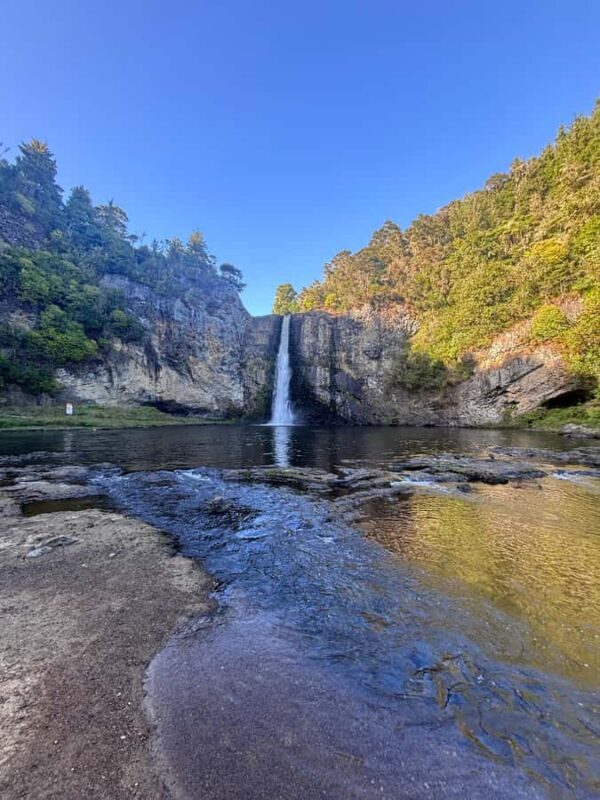 Private Tour: Hunua Falls, Blue Springs & Mclaren waterfall - Discover Auckland’s Natural Beauty with a Private Tour of Hunua Falls, Blue Springs, and McLaren Waterfall