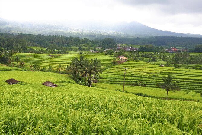 Private Tour in Ancient Temple Bali - The Sum Up