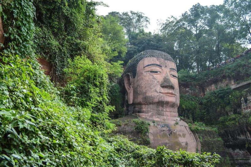 Private tour in Chengdu Panda Base and Leshan Giant Buddha - Final Thoughts