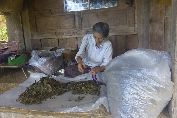 Private Tour in Chiang Mai Village Experience Nature - The Experience of the Day: What to Expect