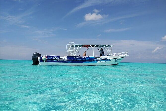 Private Tour in Cozumel El Cielo Sandbar and Reef Snorkeling - The Highlight: El Cielo Sandbar