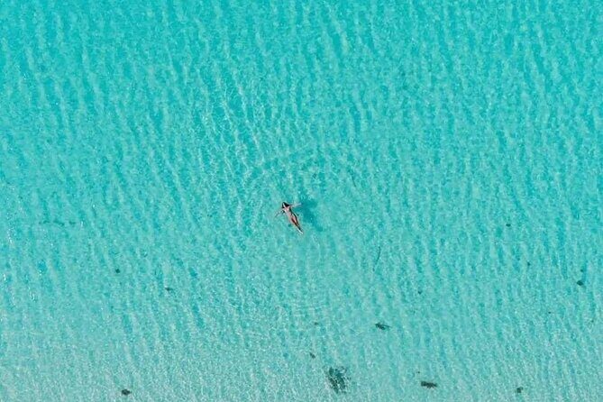 Private Tour in Cozumel El Cielo Sandbar and Reef Snorkeling - Practical Details and Logistics