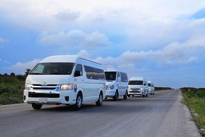 Private Tour in Cozumel in your own way Groups up to 14 People - Introducing the Private Cozumel Tour