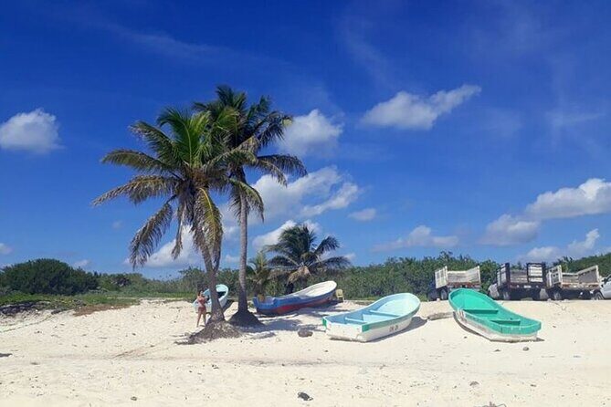 Private Tour in Cozumel in your own way Groups up to 14 People - What You Get for Your Money