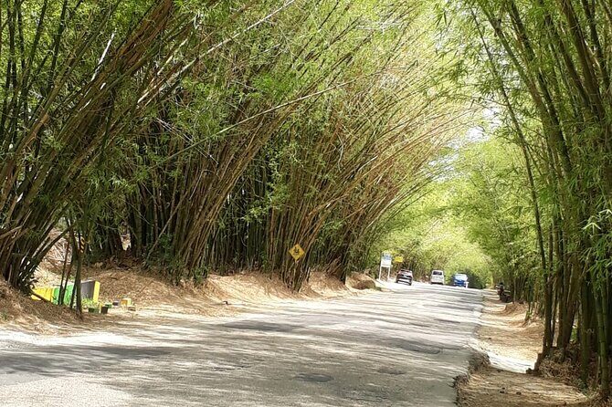 Private Tour in Dunns River Falls - FAQ