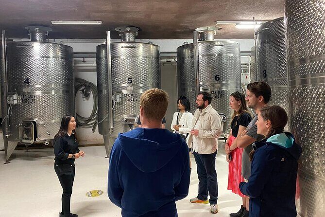 Private Tour in Guadalupe Valley, Vine Yards & Wine Route ENS MX - The Appeal of a Private Tour in Guadalupe Valley