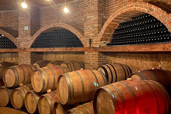 Private Tour in Guadalupe Valley, Vine Yards & Wine Route ENS MX - The Experience You’ll Have