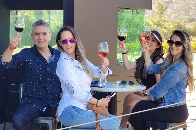 Private Tour in Guadalupe Valley, Vine Yards & Wine Route ENS MX - Analyzing the Value