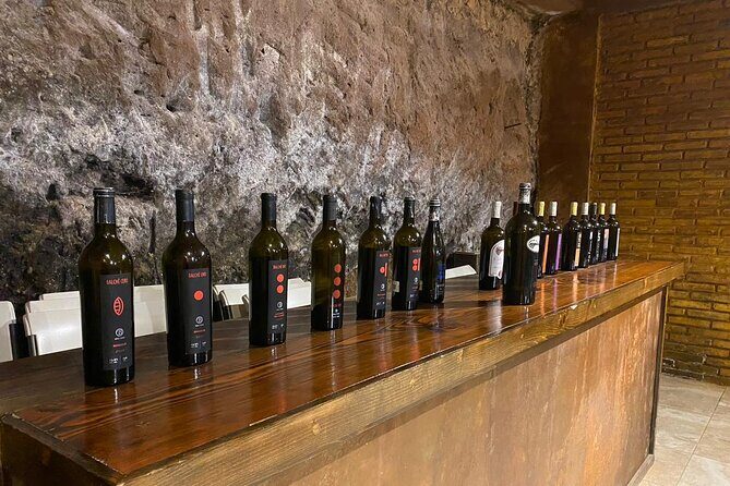 Private Tour in Guadalupe Valley, Vine Yards & Wine Route ENS MX - Who Would Love This Experience?