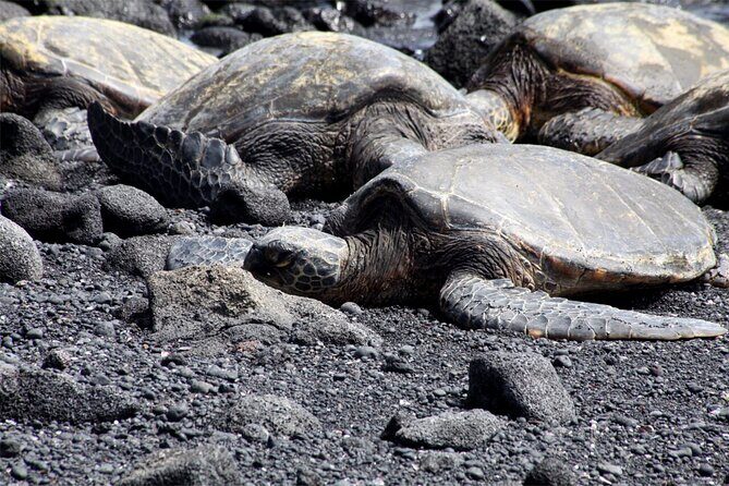 Private Tour in Hilo Island of Hawaii - The Value for the Price