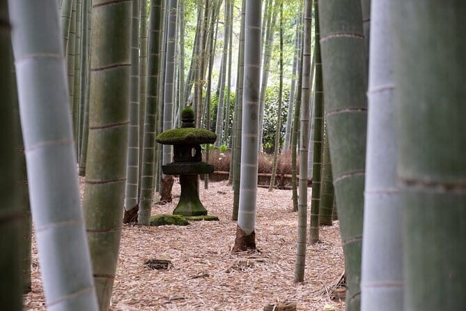 Private tour in Kamakura: Matcha tea tasting & photo shoot - Authentic Experiences & Genuine Value