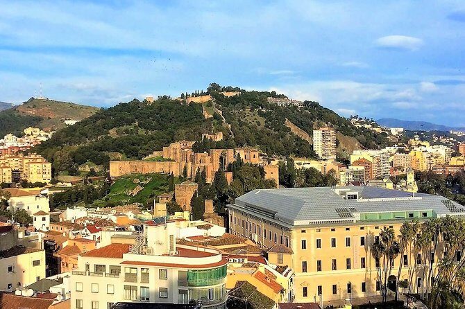 Private tour in Malaga from Costa del Sol - Who Will Love This Tour?