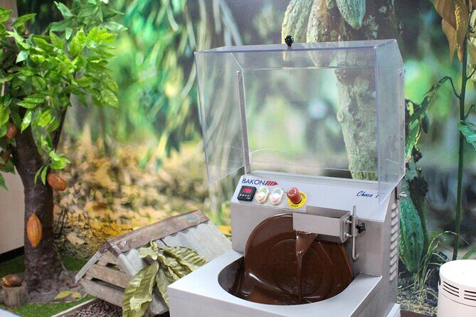 Private Tour in Puerto Plata and La Playa - Final Thoughts