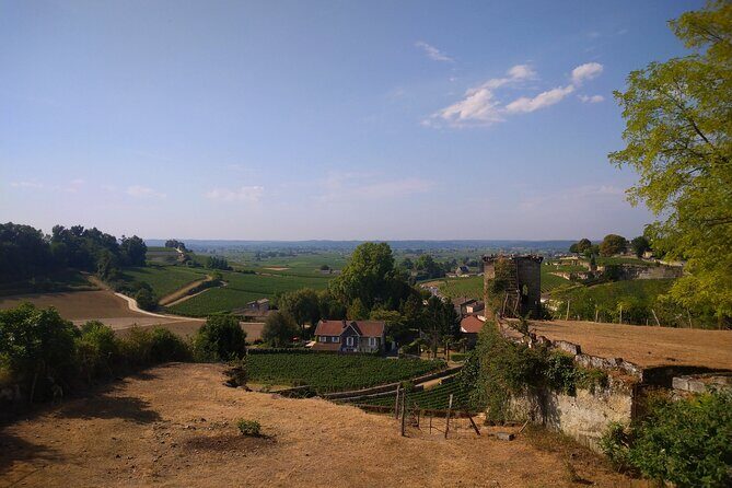 Private tour in Saint-Emilion, médiéval village and wine tasting - The Experience from a Traveler’s Perspective
