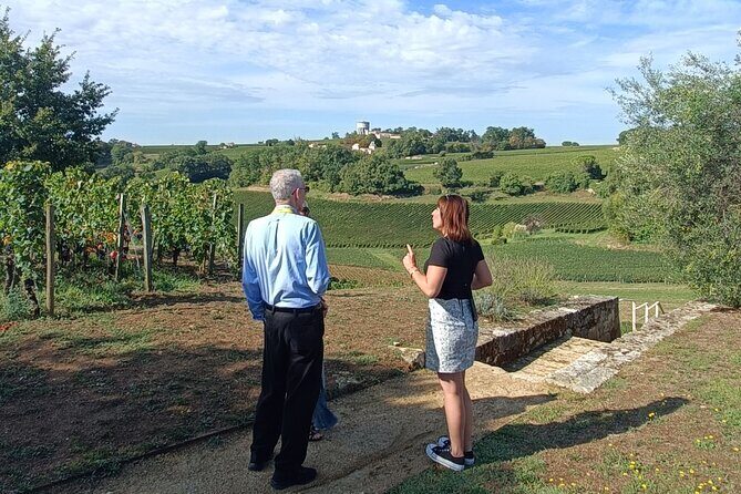 Private tour in Saint-Emilion, médiéval village and wine tasting - The Sum Up: Is This Tour Right for You?