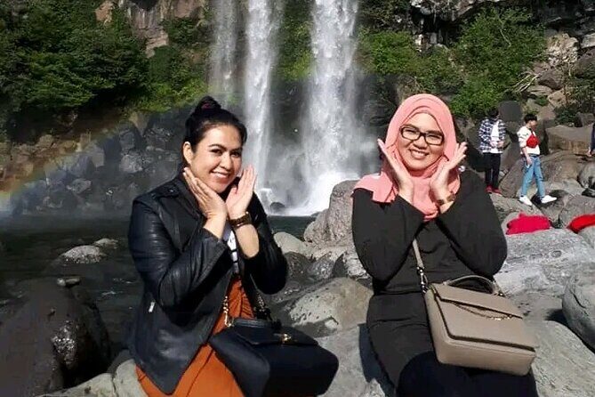 Private Tour in South and East in jeju island - Jeongbang Waterfall