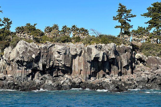 Private Tour in South Jeju including Yacht Cruise - A Detailed Breakdown of the Itinerary