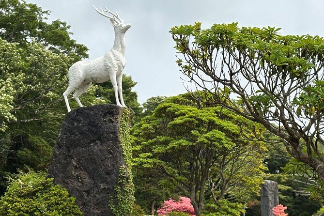 Private Tour in South Jeju including Yacht Cruise - Who Will Enjoy This Tour?