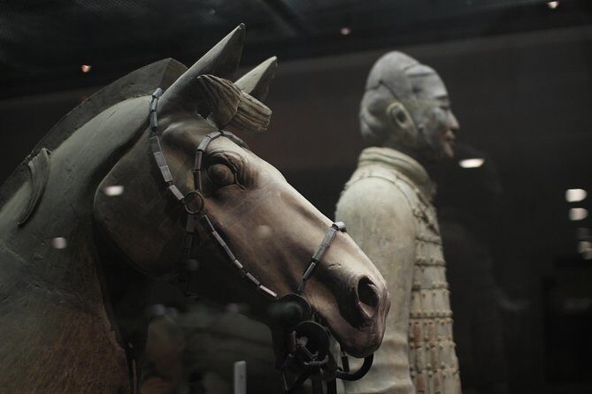 Private Tour in Terracotta Warriors Discovery - Why This Tour Offers Value