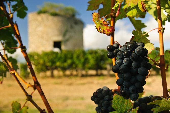 Private tour in the prestigious Médoc wine region - Discovering the Medoc: A Private Wine Tour That Combines Prestige with Authenticity