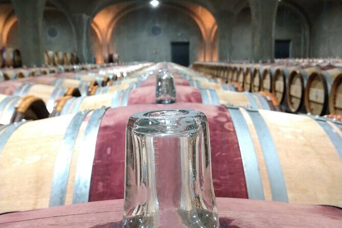 Private tour in the prestigious Médoc wine region - Key Points