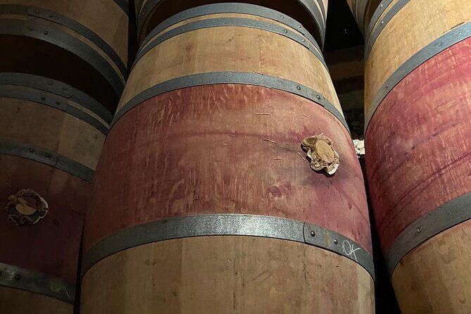Private tour in the prestigious Médoc wine region - Final Thoughts: Is This Tour Right for You?