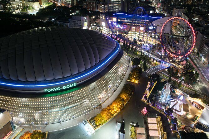 Private Tour in Tokyo 5 Cities and 10 Points Day or Night - Why this Tour Offers Great Value