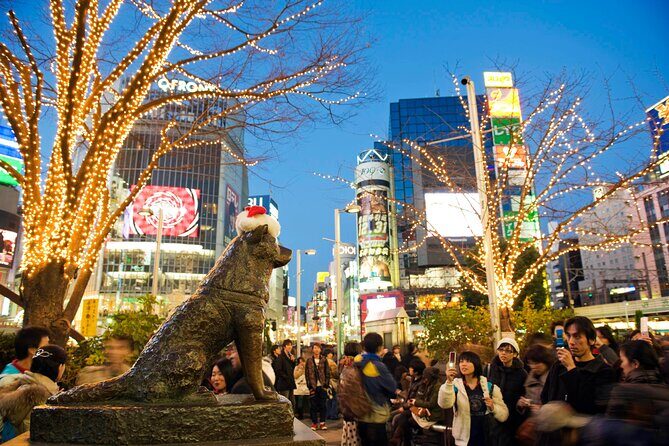 Private Tour in Tokyo 5 Cities and 10 Points Day or Night - FAQs