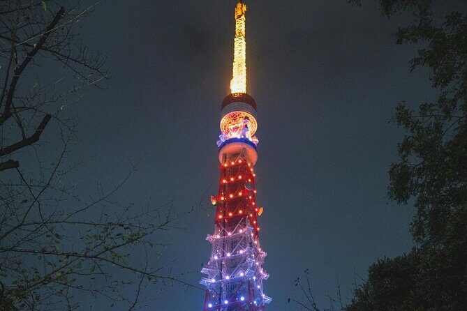 Private Tour in Tokyo with English speaking driver - Key Points