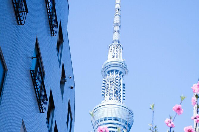 Private Tour in Tokyo with English speaking driver - Exploring Tokyo on Your Terms: A Deep Dive into the Experience