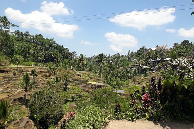Private tour in Ubud country side - Final Thoughts: Who Should Consider This Tour?