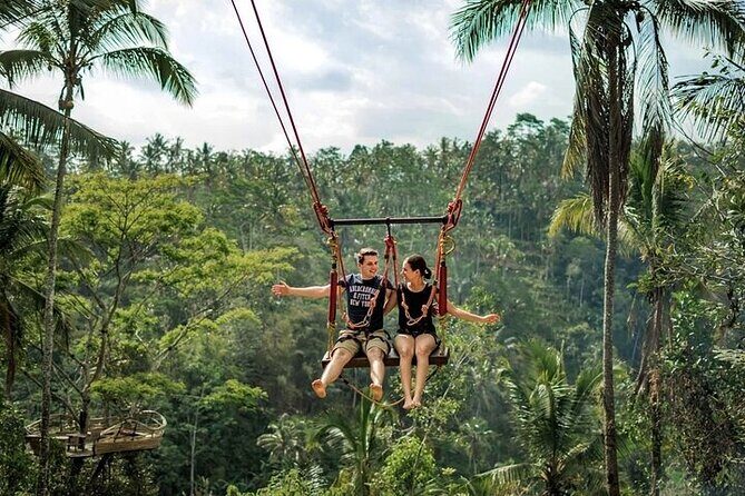 Private Tour in Ubud with Jungle Swing - Introduction