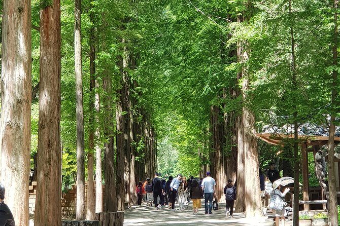 Private Tour including Nami Island with attractions in Seoul - A Closer Look at the Tour Itinerary