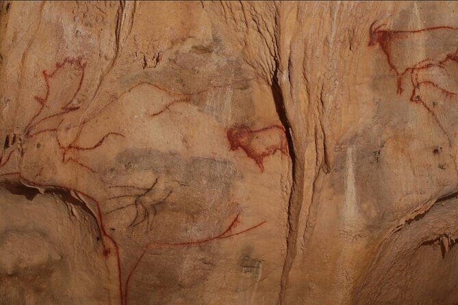 Private Tour into an Original Prehistoric Cave by EXPLOREO SARLAT - An in-Depth Look at the Tour Experience
